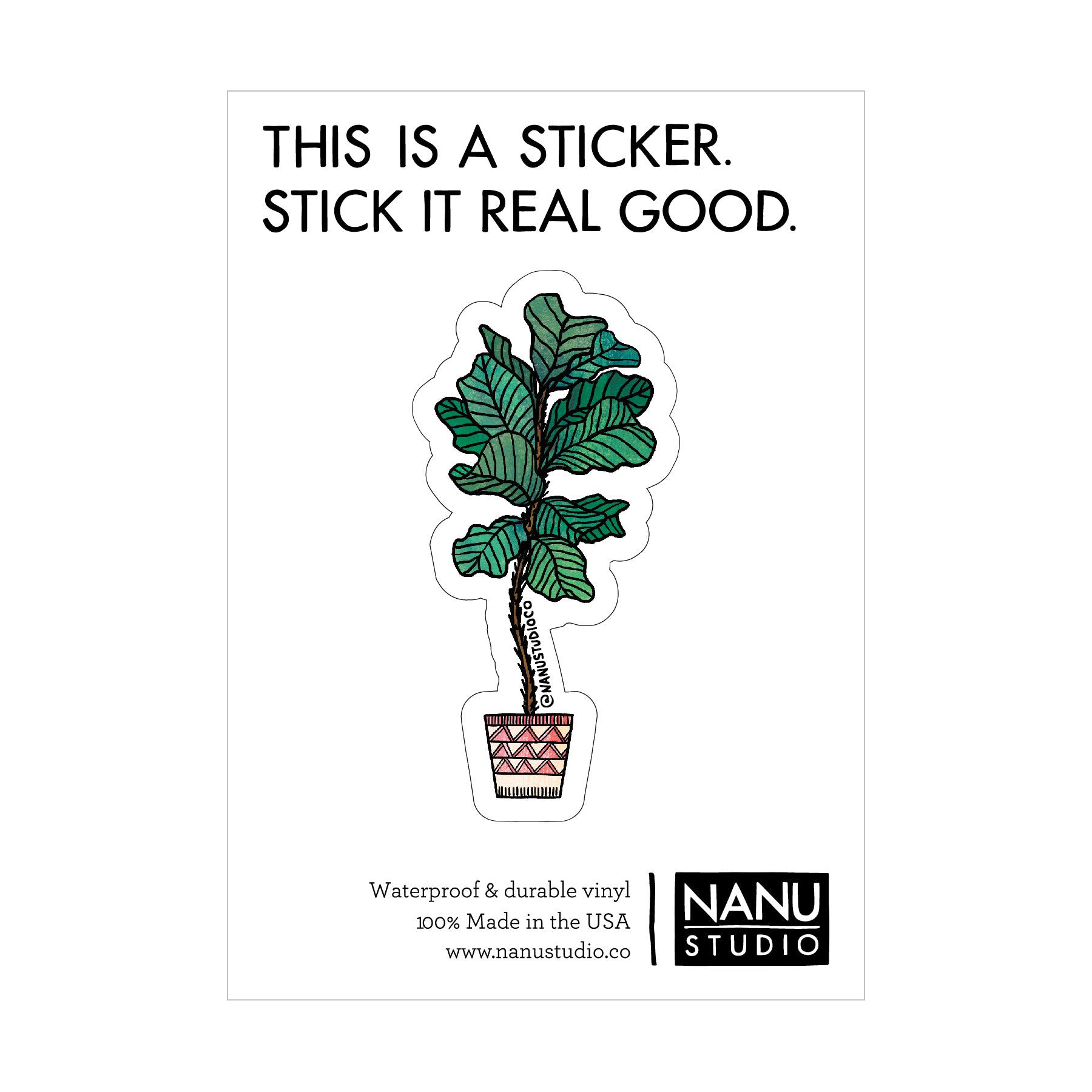 Fiddle Fig - Illustrated Nature Plant Sticker – NANU Studio