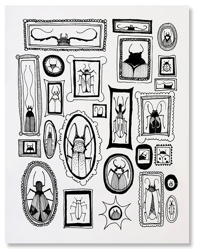 Bug Portraits - Illustrated Nature Art Print – NANU Studio